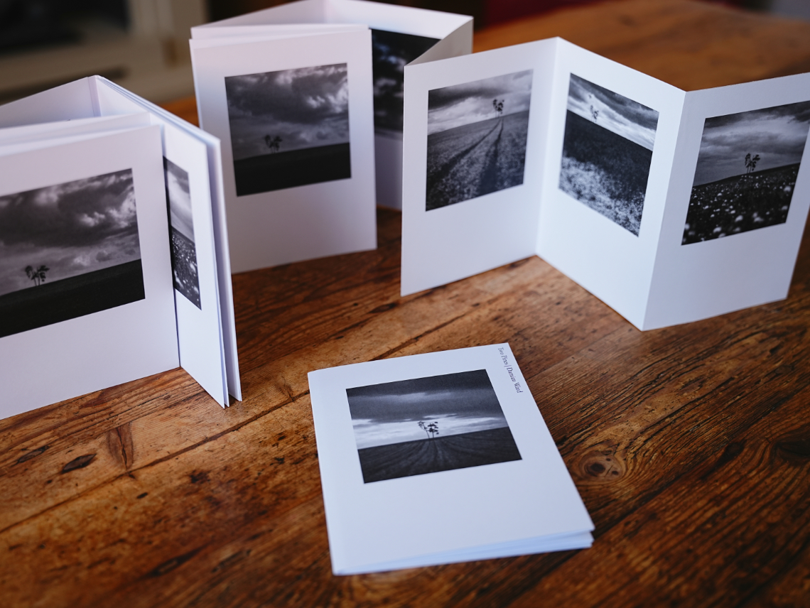 Two Pines - Handmade Book - Damian Ward